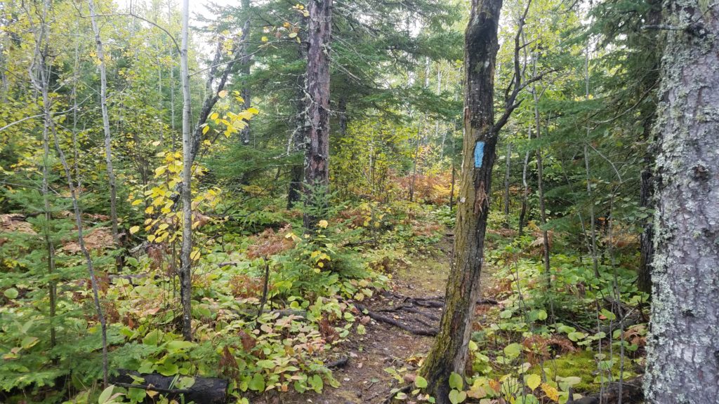 Superior Hiking Trail – Into The Wide Open